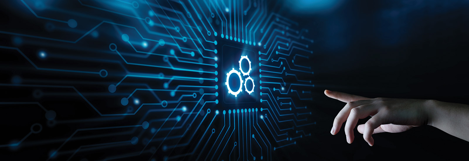 Program Optimize Banner